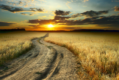 Understanding the impacts of Ménière’s Disease - European Centre for ...