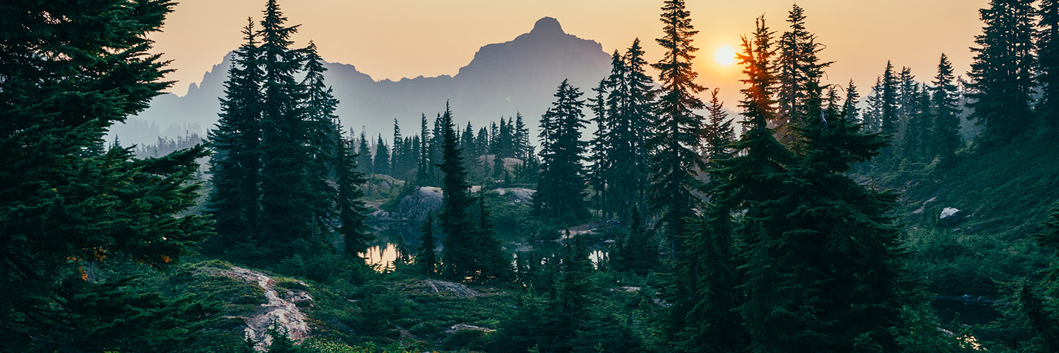 Two hour ‘nature dose’ boosts health and wellbeing - European Centre ...