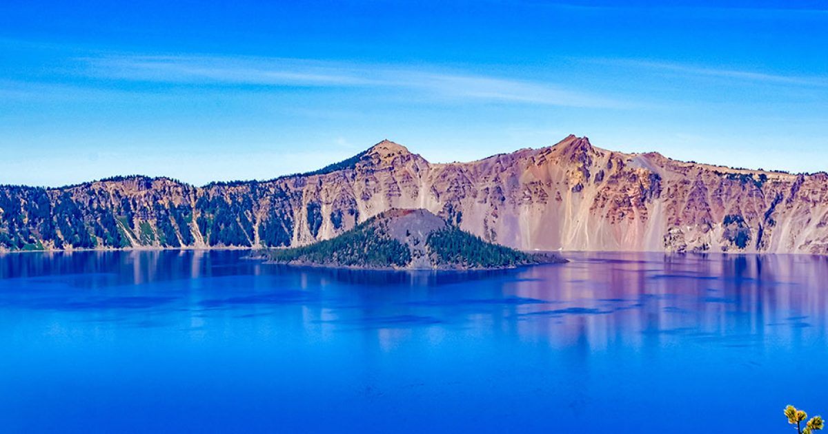 New ‘virtual nature’ experiment launched - European Centre for ...