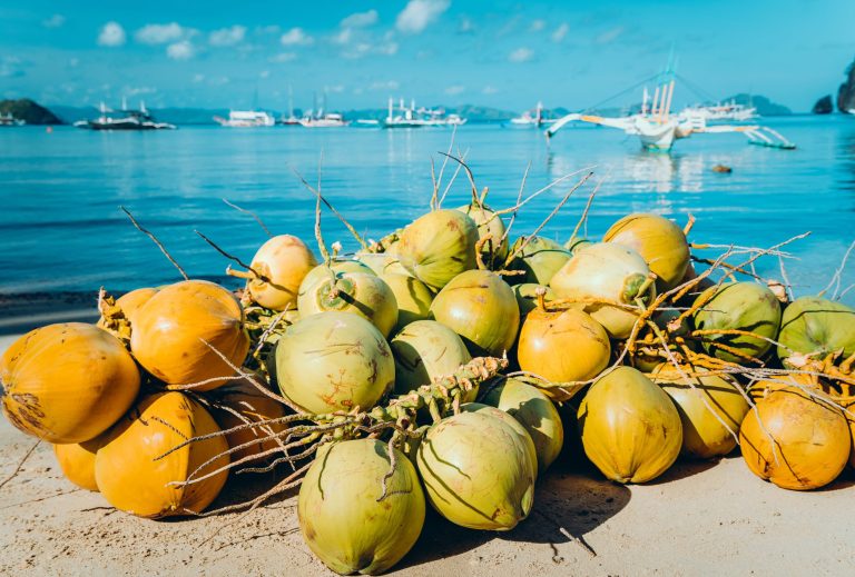 Food for nutrition and planetary health in small islands - European ...