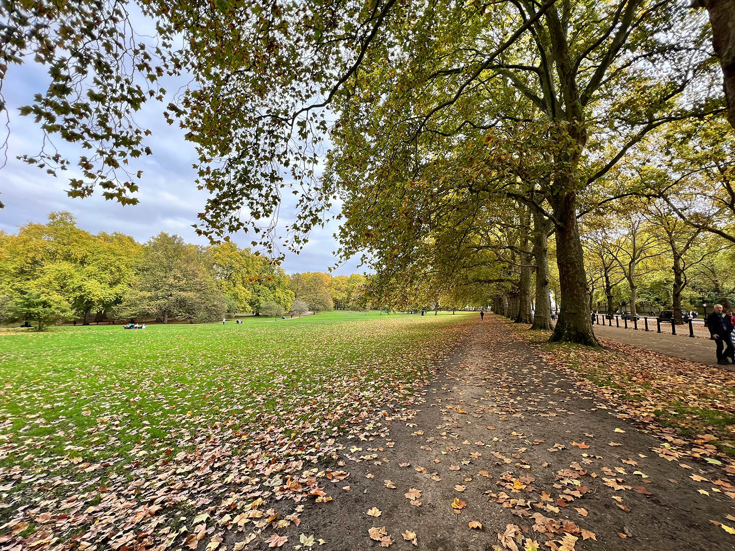 Green spaces linked with less smoking and drinking - European Centre for Environment and Human ...